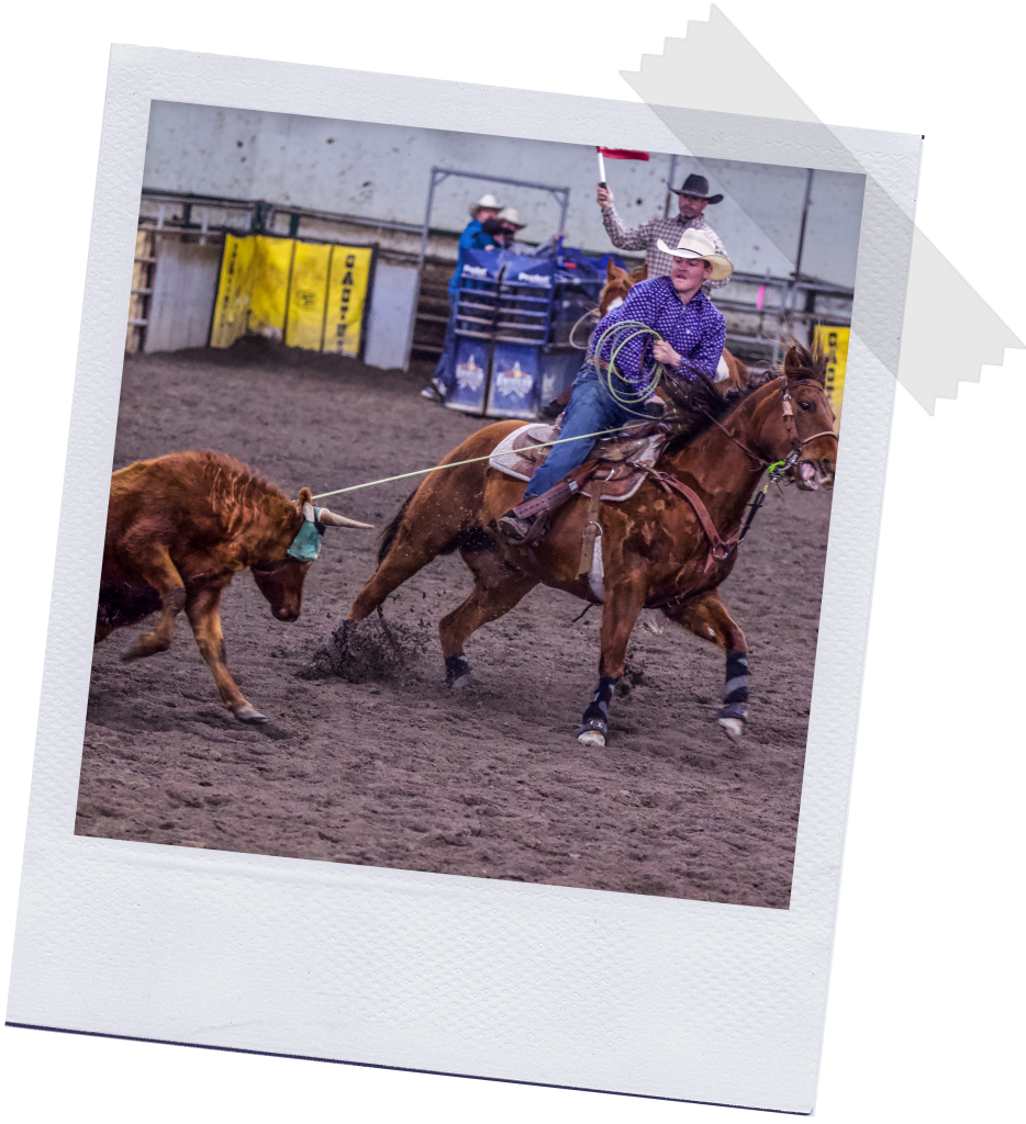 About & History - Alberta High School